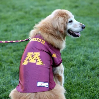 AAS 3211W LEC 001 Race & Racism in the U.S. (Twin Cities Spring 2026 ...